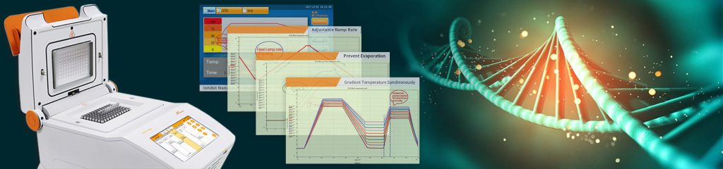 Electrophoresis & Imaging System - Ybo Technologies Co., Ltd.